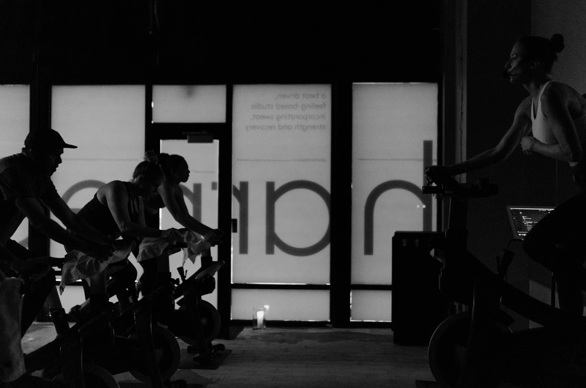 Jen Manning — Harness Cycle