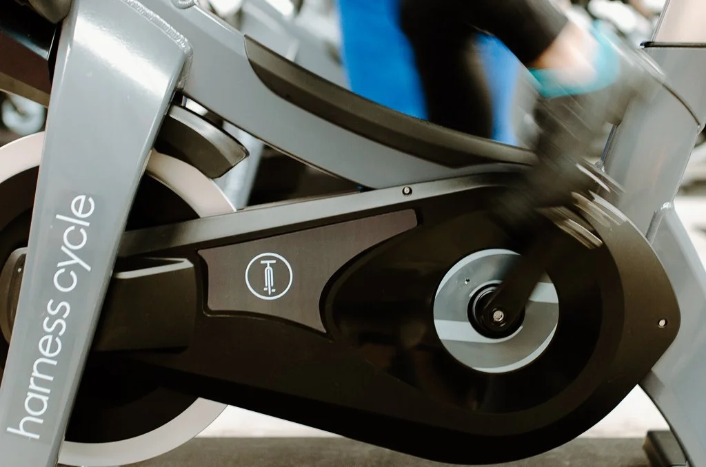 Our Story — Harness Cycle