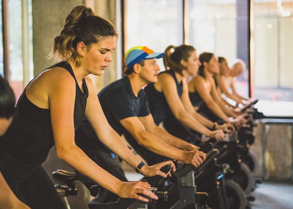 Contact Us — Harness Cycle