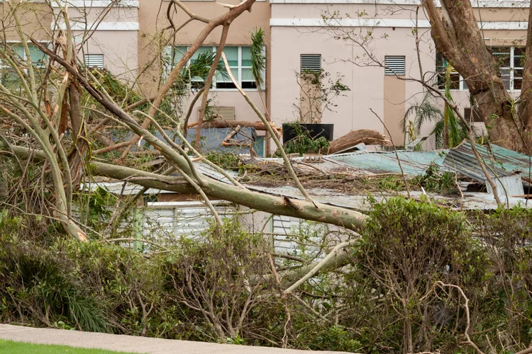 The Critical Role of Architects in Post-Disaster Reconstruction ...