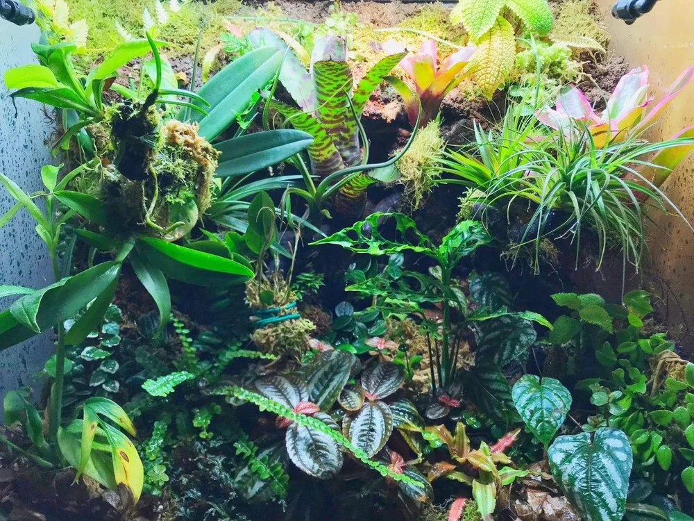 Bioactive — House of Pets