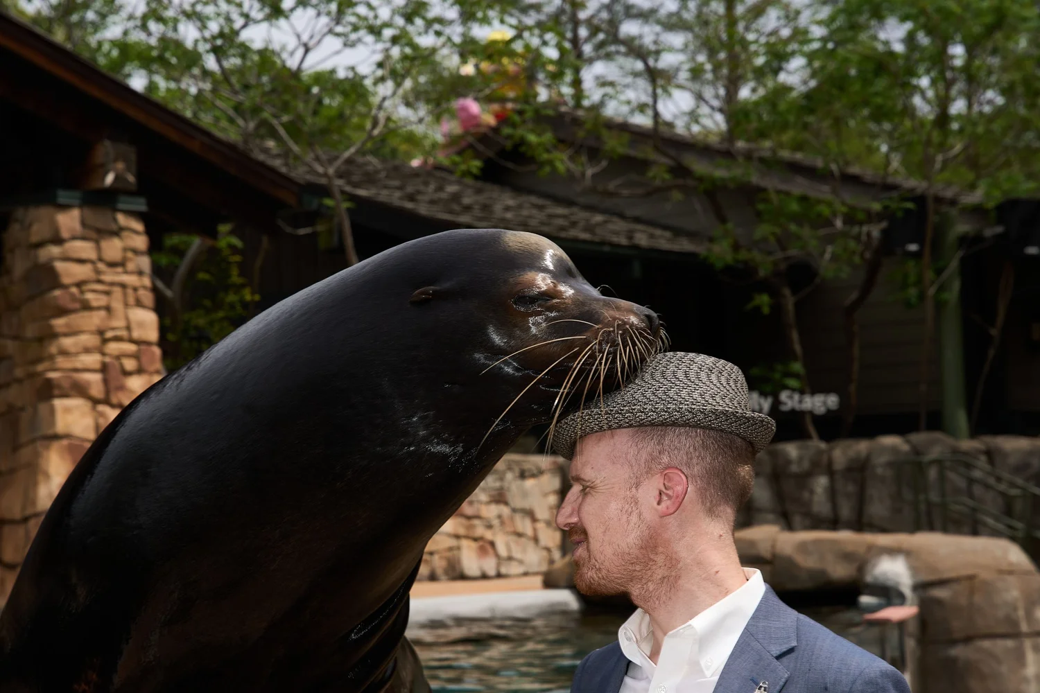 Saint Louis Zoo to Celebrate Shakespeare Festival's 25th Anniversary ...