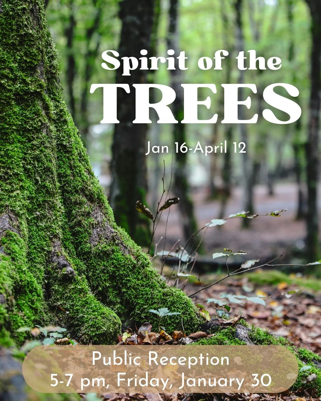 Spirit of the Trees and Coming of Age in 2026 Opens at Red Gate Gallery ...