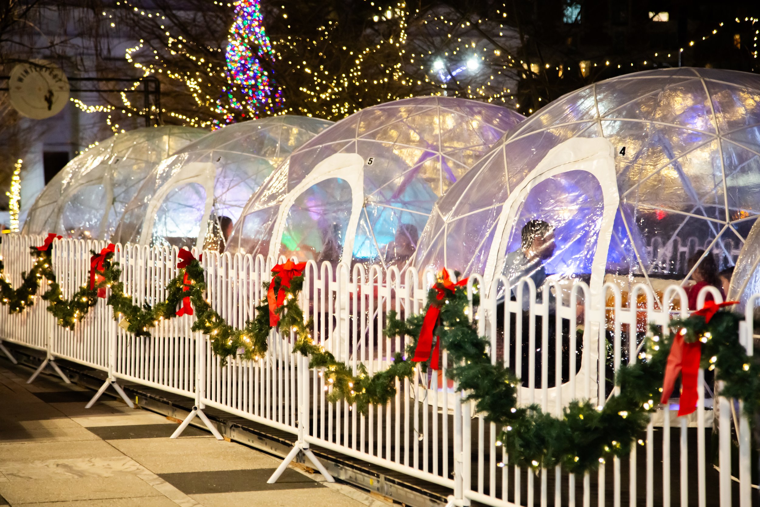 Winterfest - A Beloved St. Louis Tradition - Comes Back for the ...