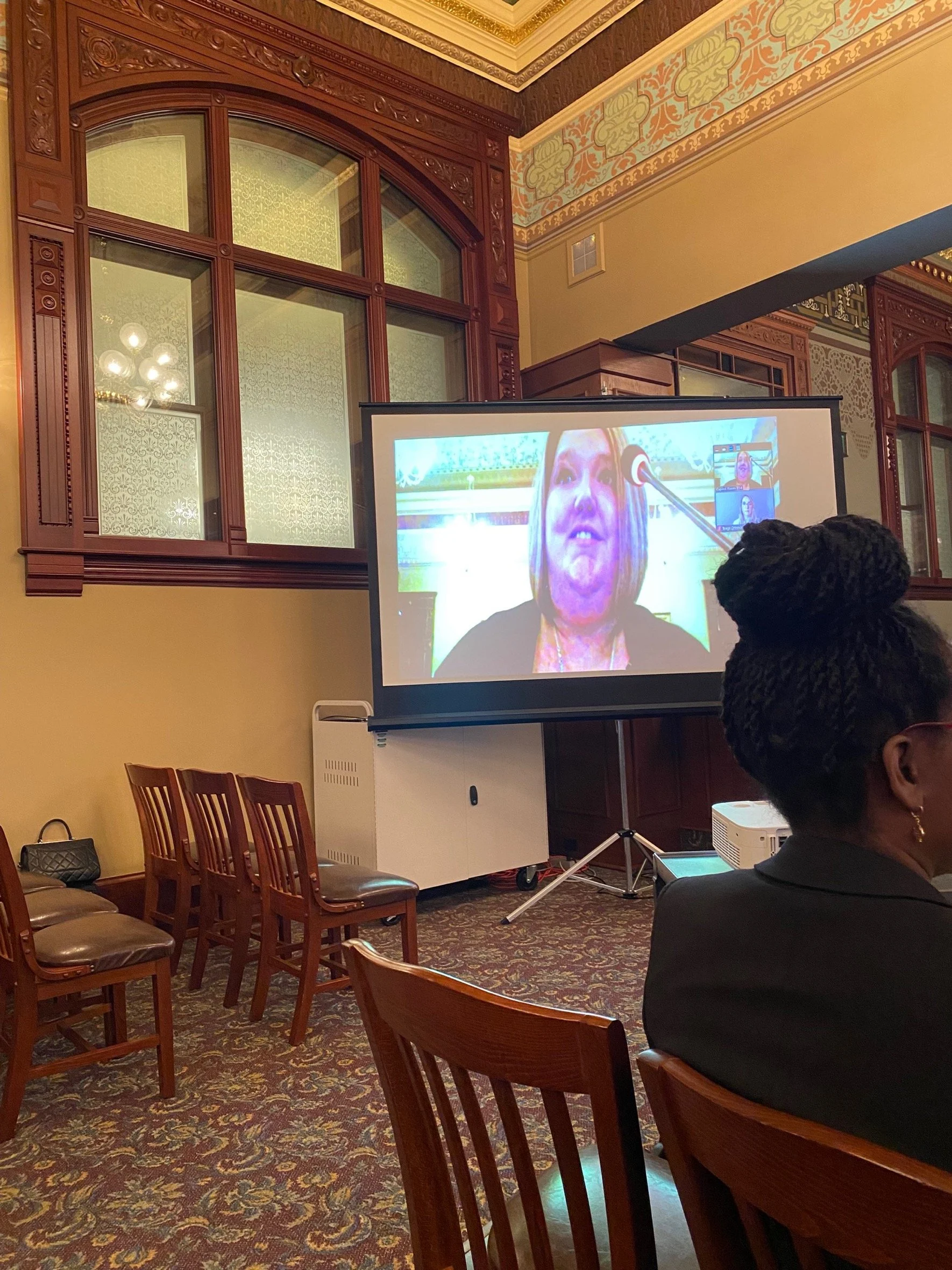 Senate Early Childhood Education Committee Meeting — Birth to Five Illinois