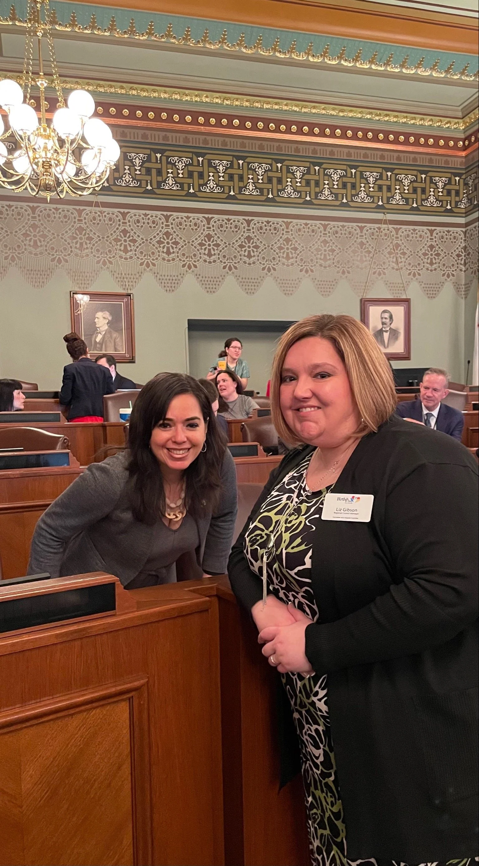Senate Early Childhood Education Committee Meeting — Birth to Five Illinois