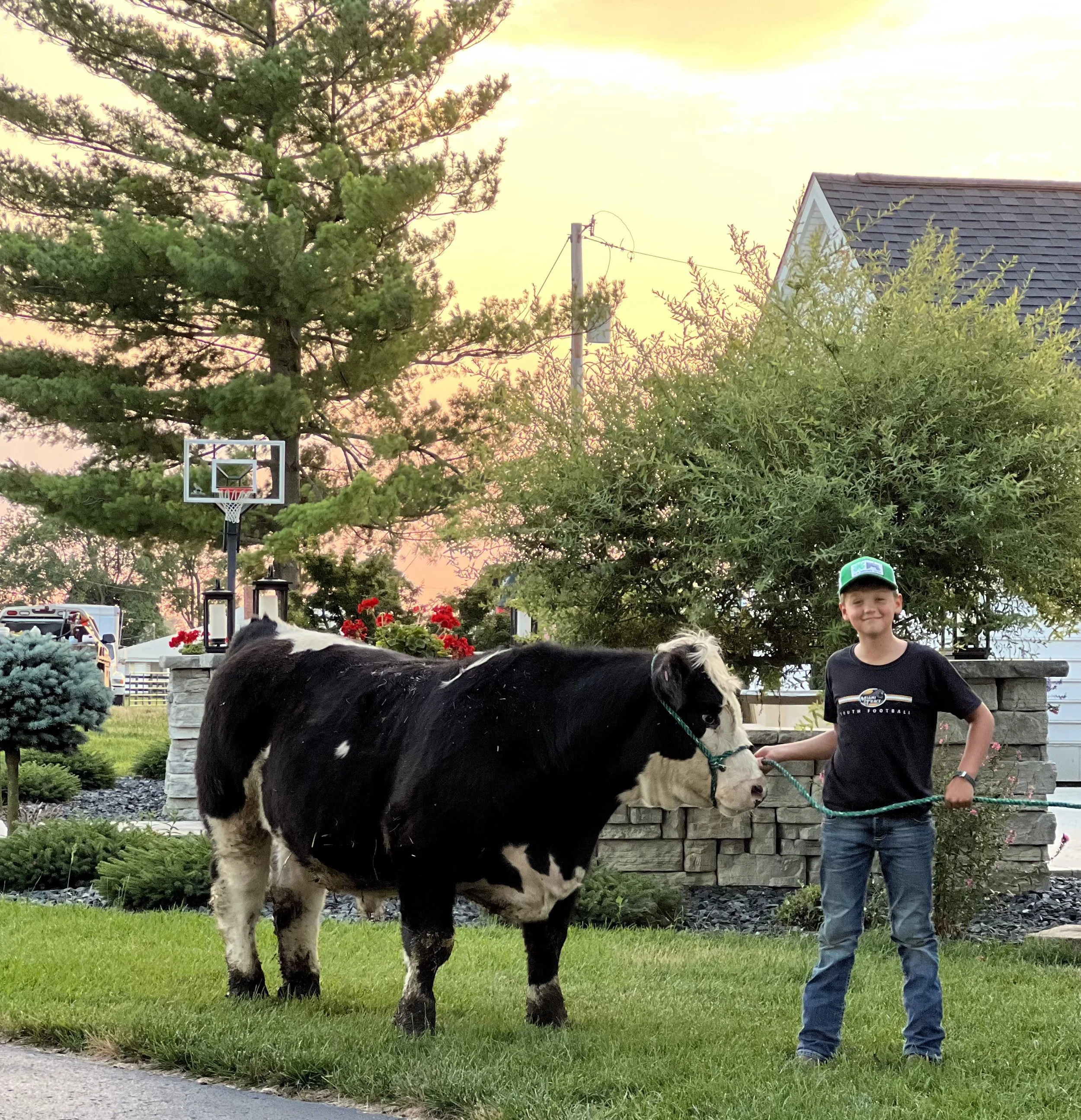 Ohio Artisan Beef | Sustainably Raised Beef
