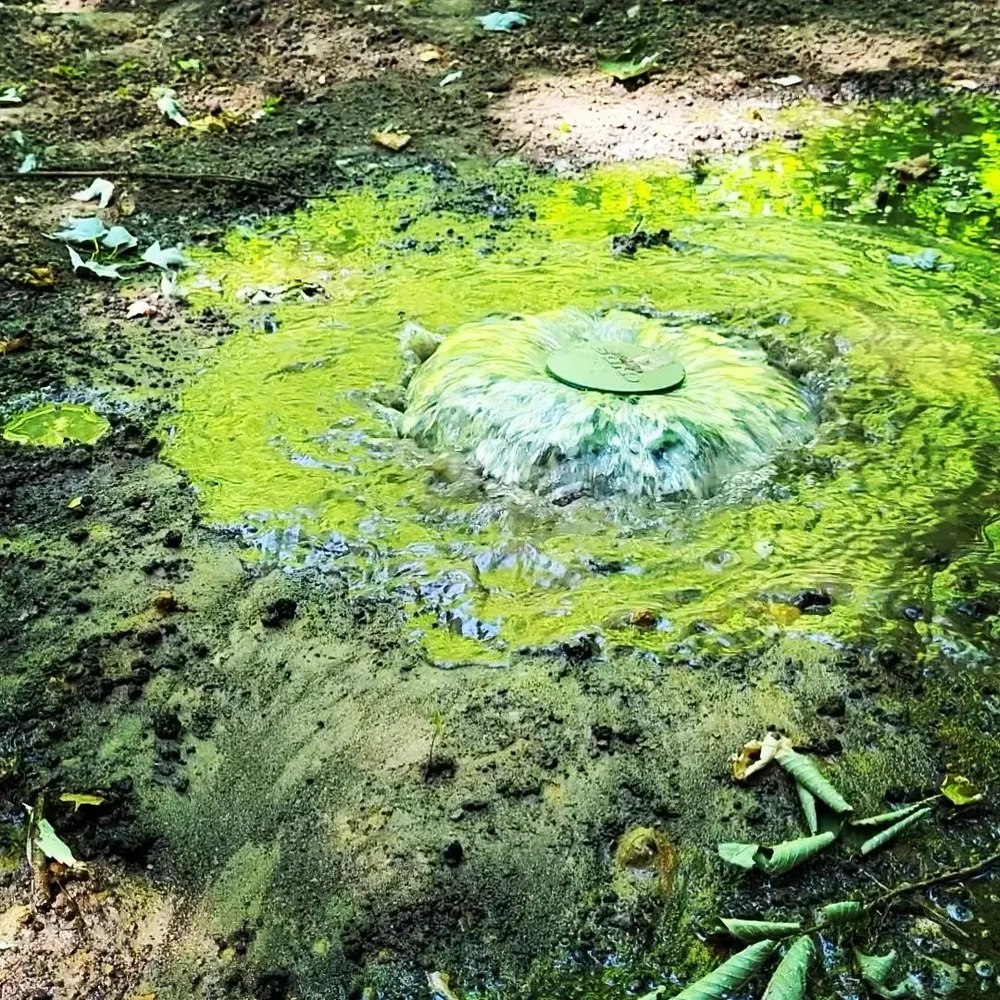 YARD DRAINAGE INSTALLATION — ONTARIO YARD DRAINAGE