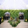 Heather Minor Events
