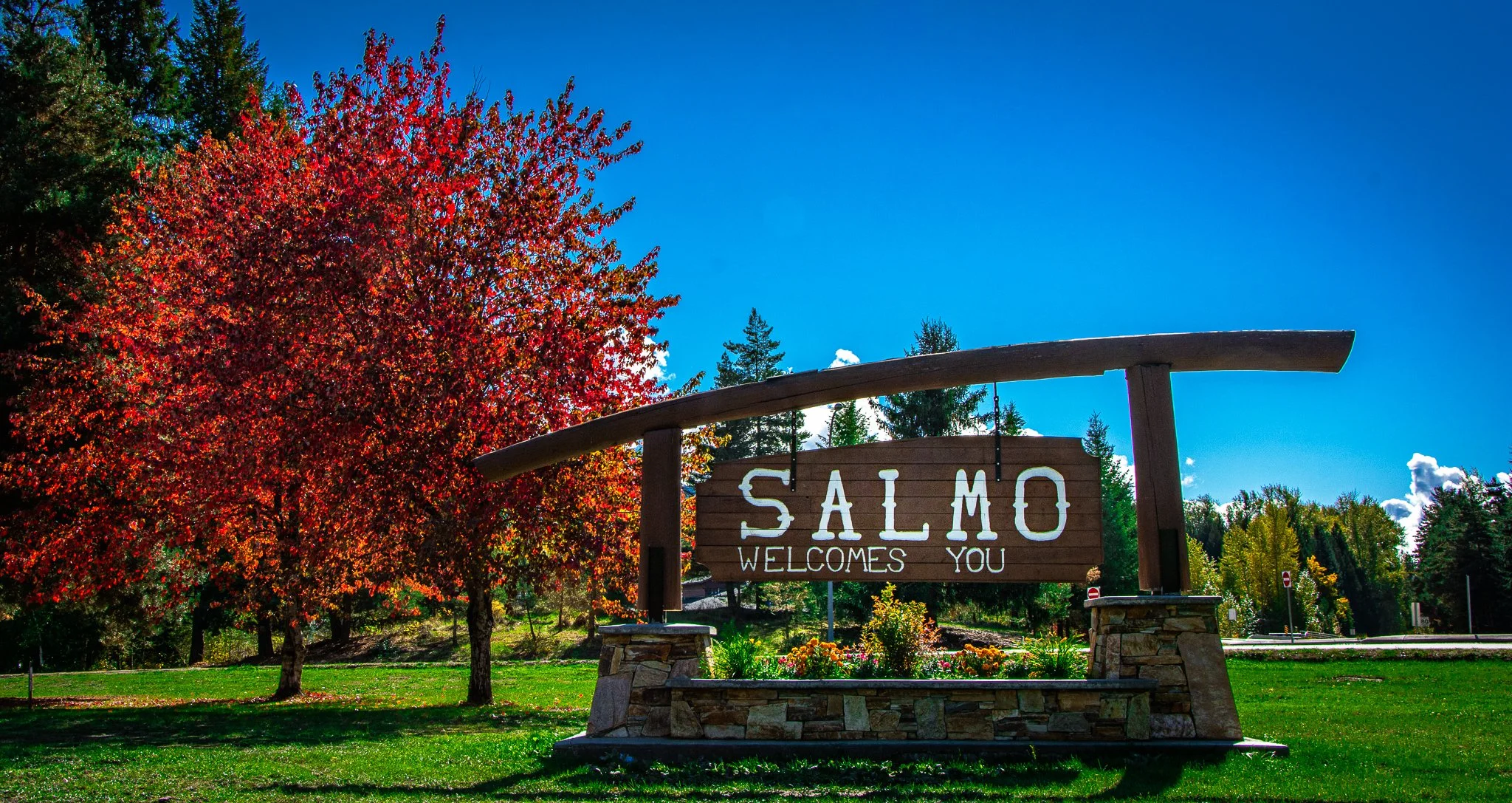 Salmo Cannabis
