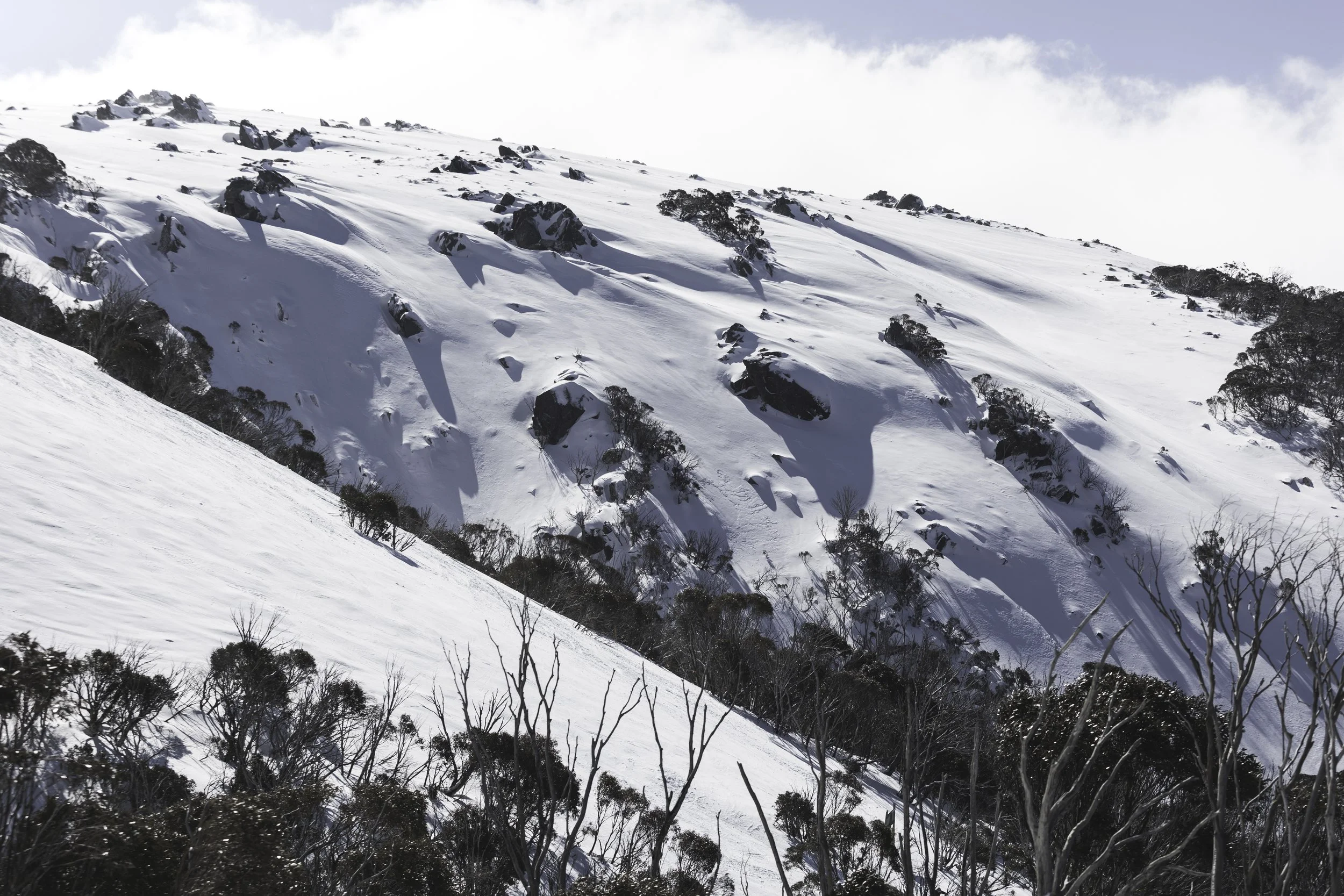 Winter Activities — Banjo Paterson Inn