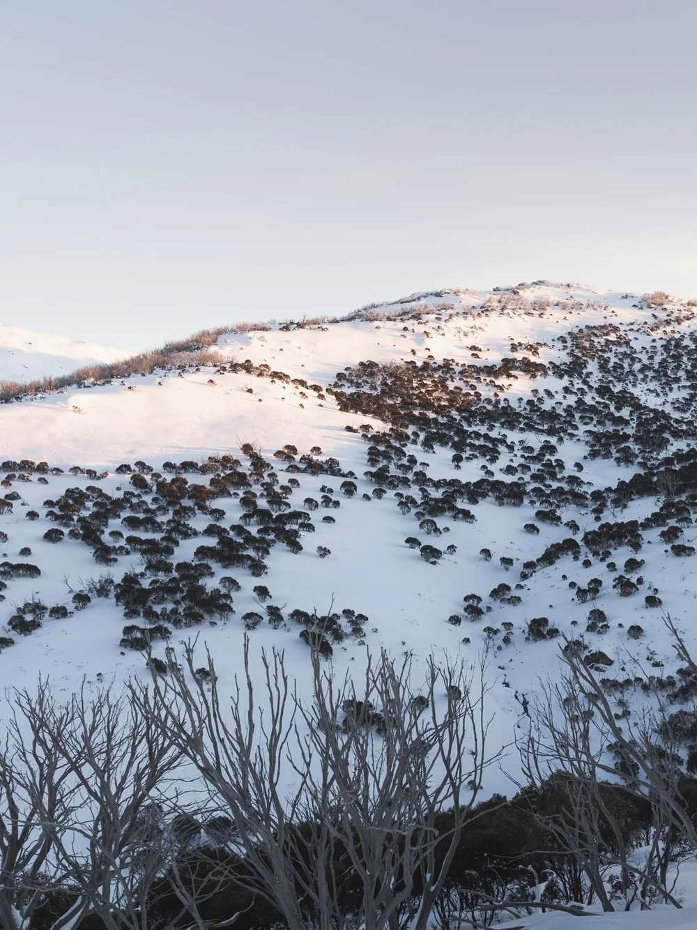 Promotions & Deals, Best Winter/Snow Accommodation in Jindabyne — Banjo ...