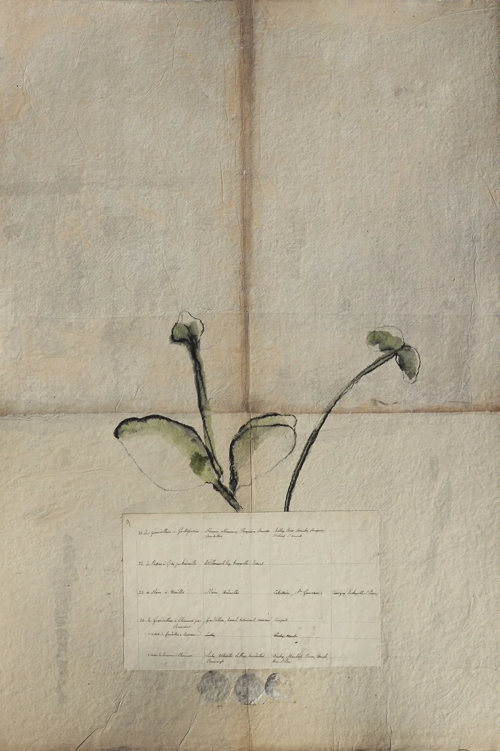 Susan Singleton
