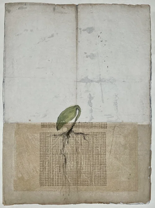 Susan Singleton