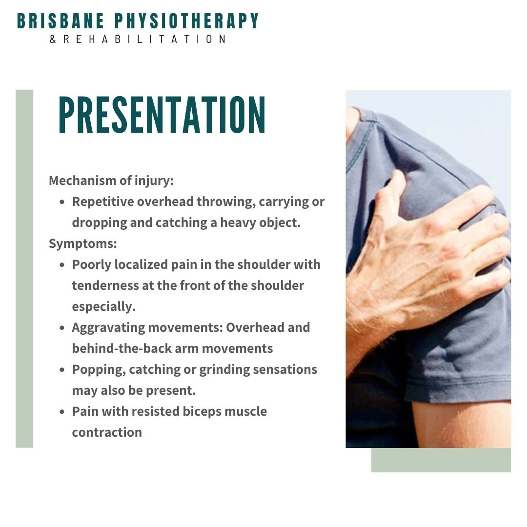 What is a Shoulder Glenoid Labrum Injury? - Brisbane Physiotherapy