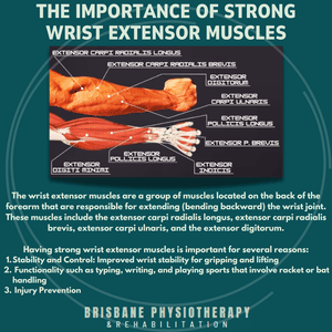 The Importance of having Strong Wrist Extensor Muscles - Brisbane ...