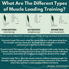 What are the Different Types of Muscle Loading Training? - Brisbane ...