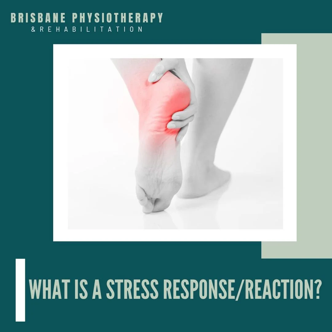 What is a Stress Response/Reaction? - Brisbane Physiotherapy & Podiatry