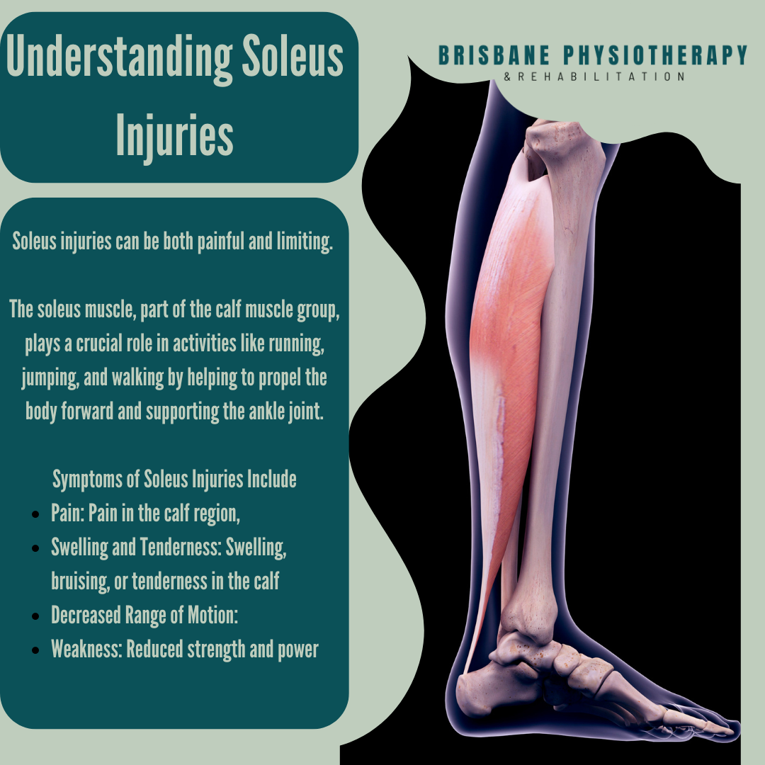 Understanding Soleus Injuries - Brisbane Physiotherapy & Podiatry