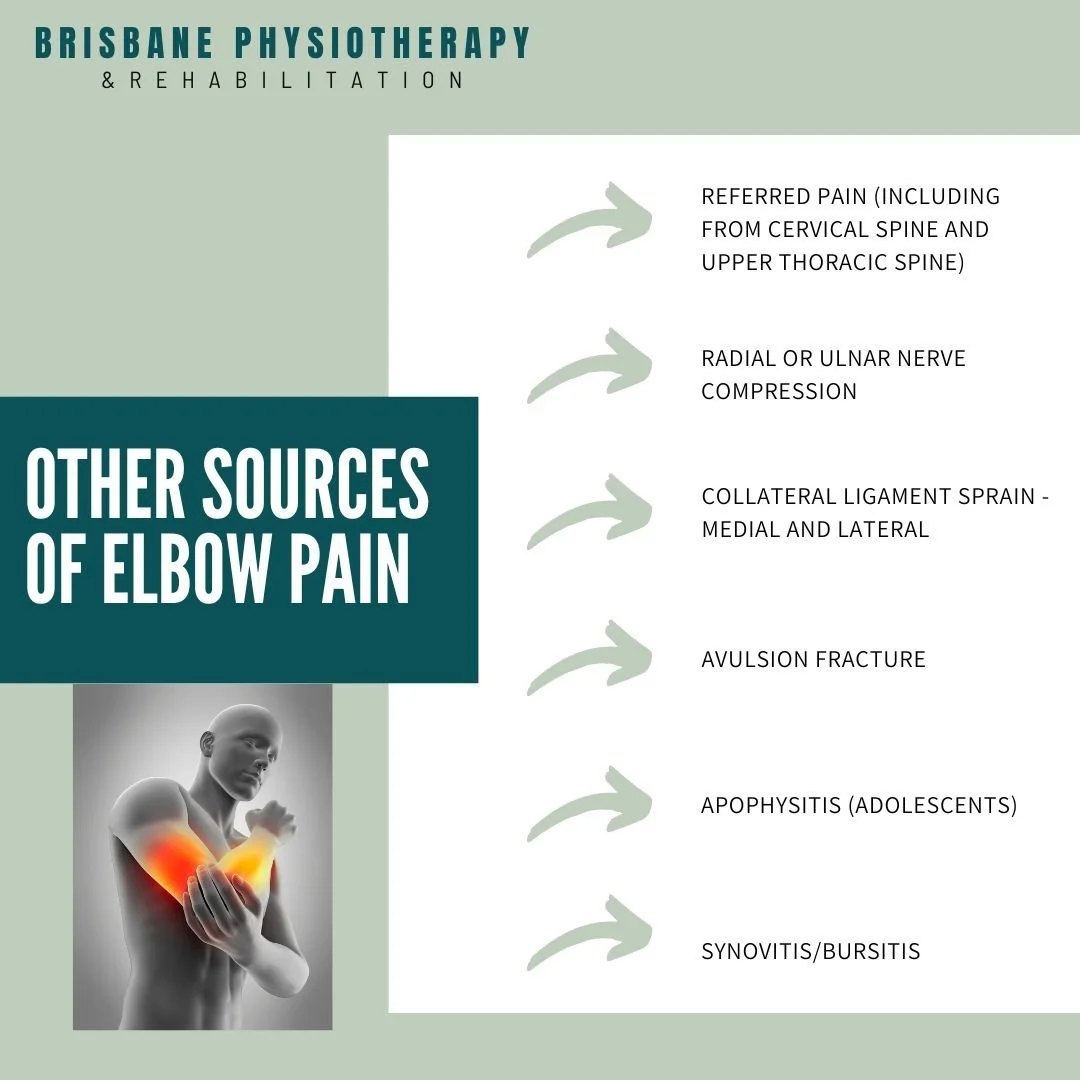 Elbow Joint - What is it and common pains & issues - Brisbane ...