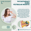 Physiotherapy Guide: Vestibular Neuritis - Brisbane Physiotherapy ...