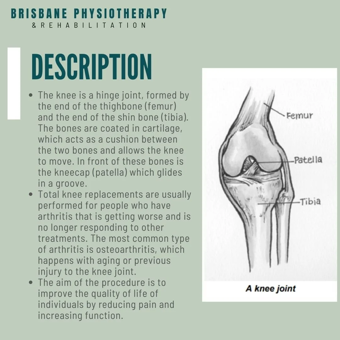 Total Knee Replacement - What is it? Treatment, Rehab, Physio ...