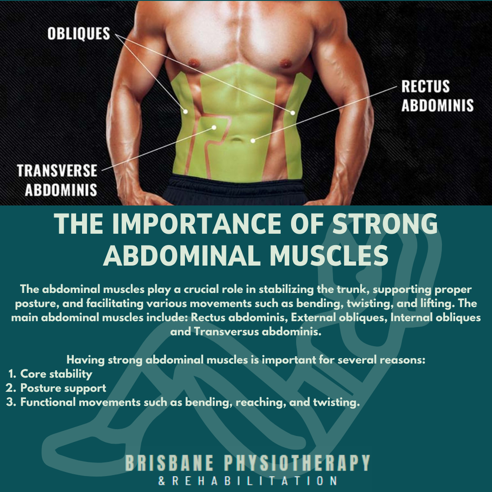 The Importance of having Strong Abdominal Muscles - Brisbane ...
