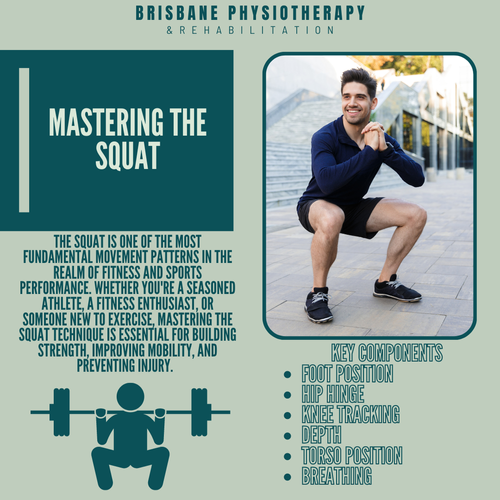 Squatting: Proper Form, Different Types of Squats & Targeted Muscle Groups - Brisbane ...