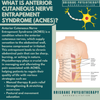 Understanding Anterior Cutaneous Nerve Entrapment Syndrome and ...