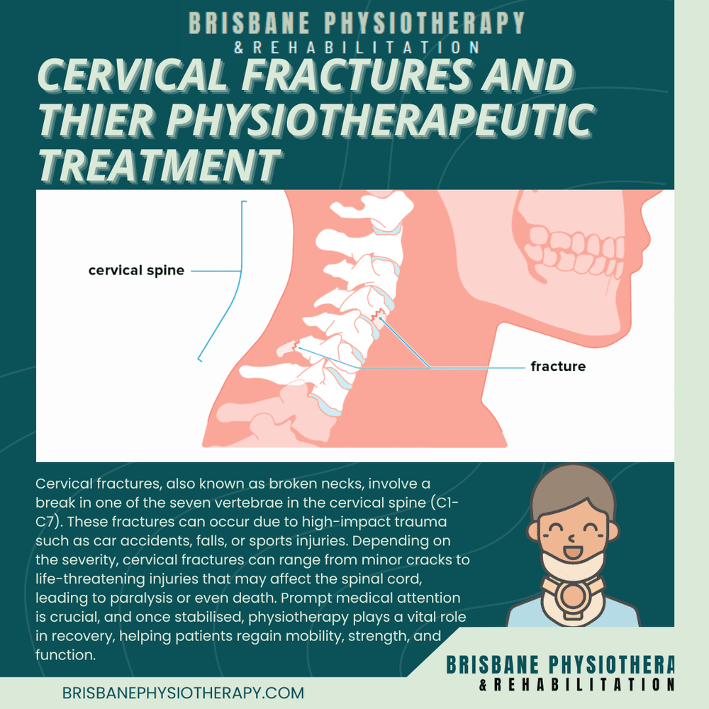 Understanding Cervical Fractures and Physiotherapy Treatment - Brisbane Physiotherapy & Podiatry