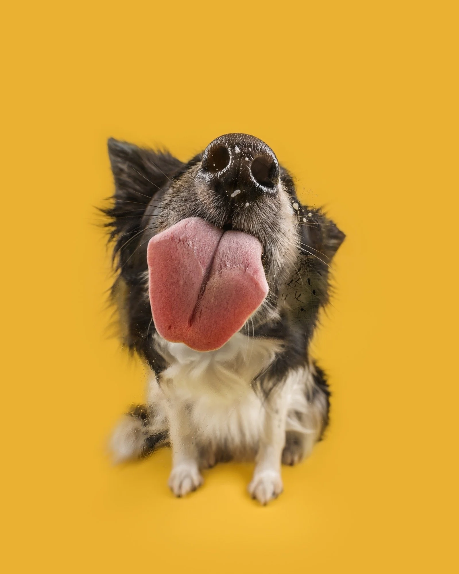 Jessica McGovern Photography - Award Winning Photographer near Dumfries