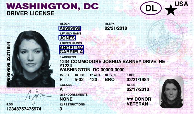 How to Use OCR API for Driver's License Recognition: A Step-by-Step ...