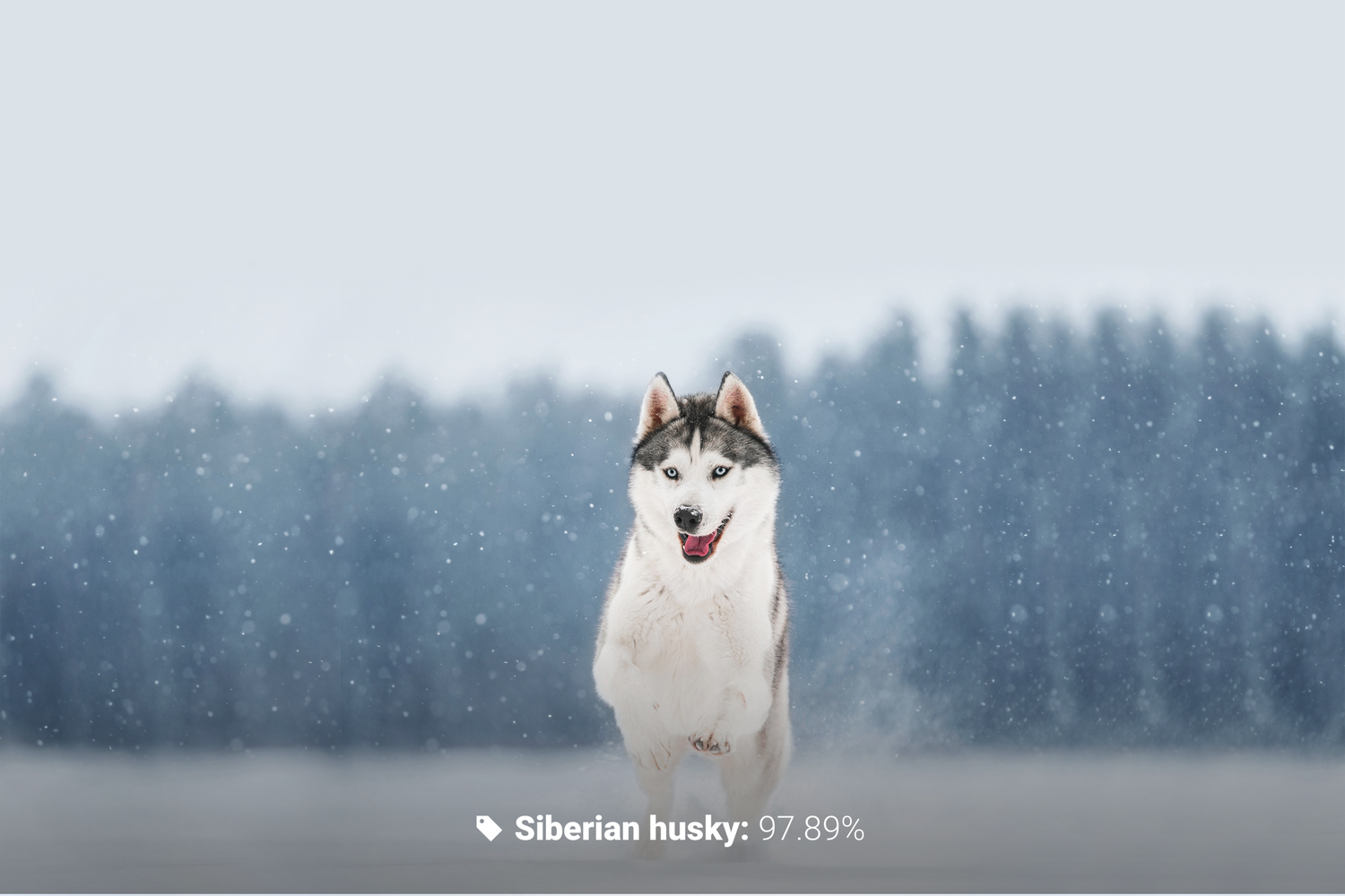 Top 10 Image Processing Applications with Cloud APIs to Watch in 2025 ...