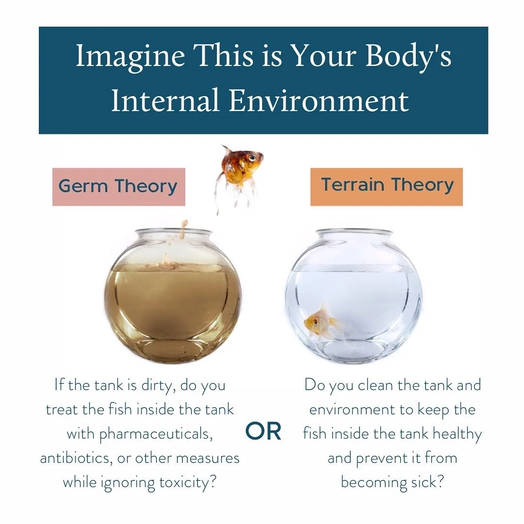 Why Am I Sensitive To Everything? — Healing Masters