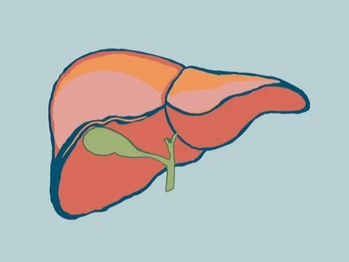Your Liver, Detox Process, and Drainage Pathways — Healing Masters