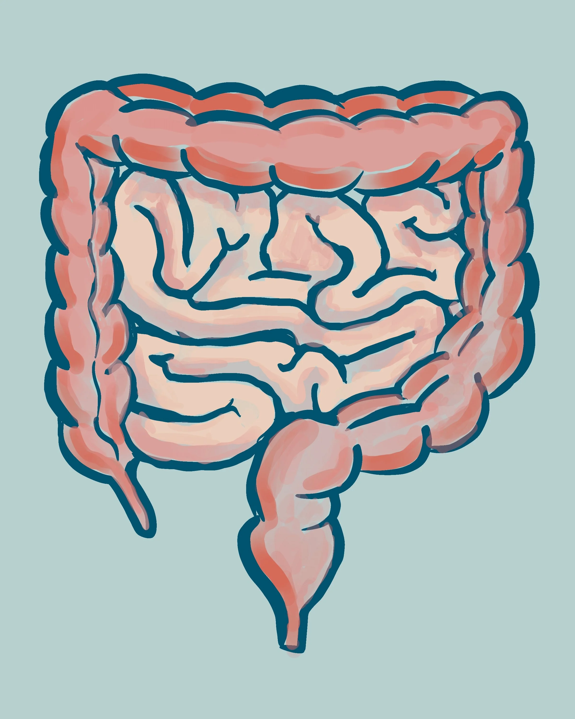 A Simple Intro to Drainage Pathways: The Colon — Healing Masters
