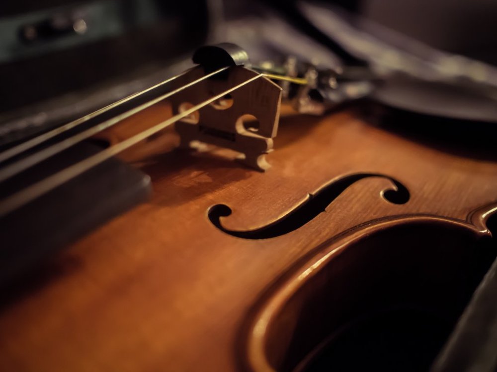 Triangle String Quartet | Raleigh, NC