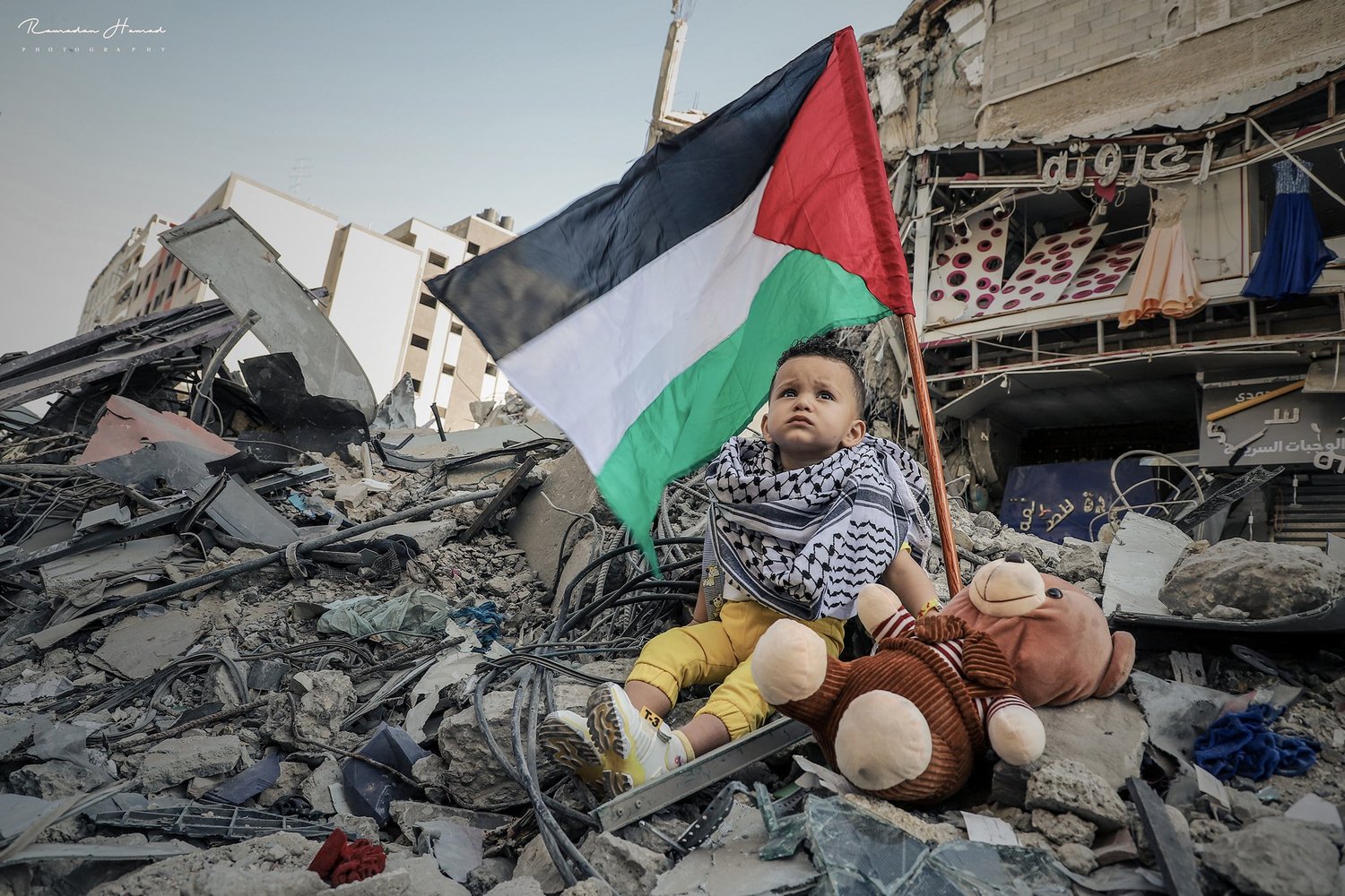 Get Involved — Palestine Trauma Centre UK