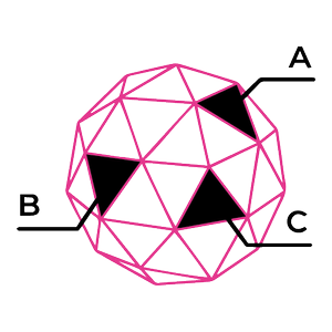 3D Tissue Imaging & AI-Powered Digital Pathology