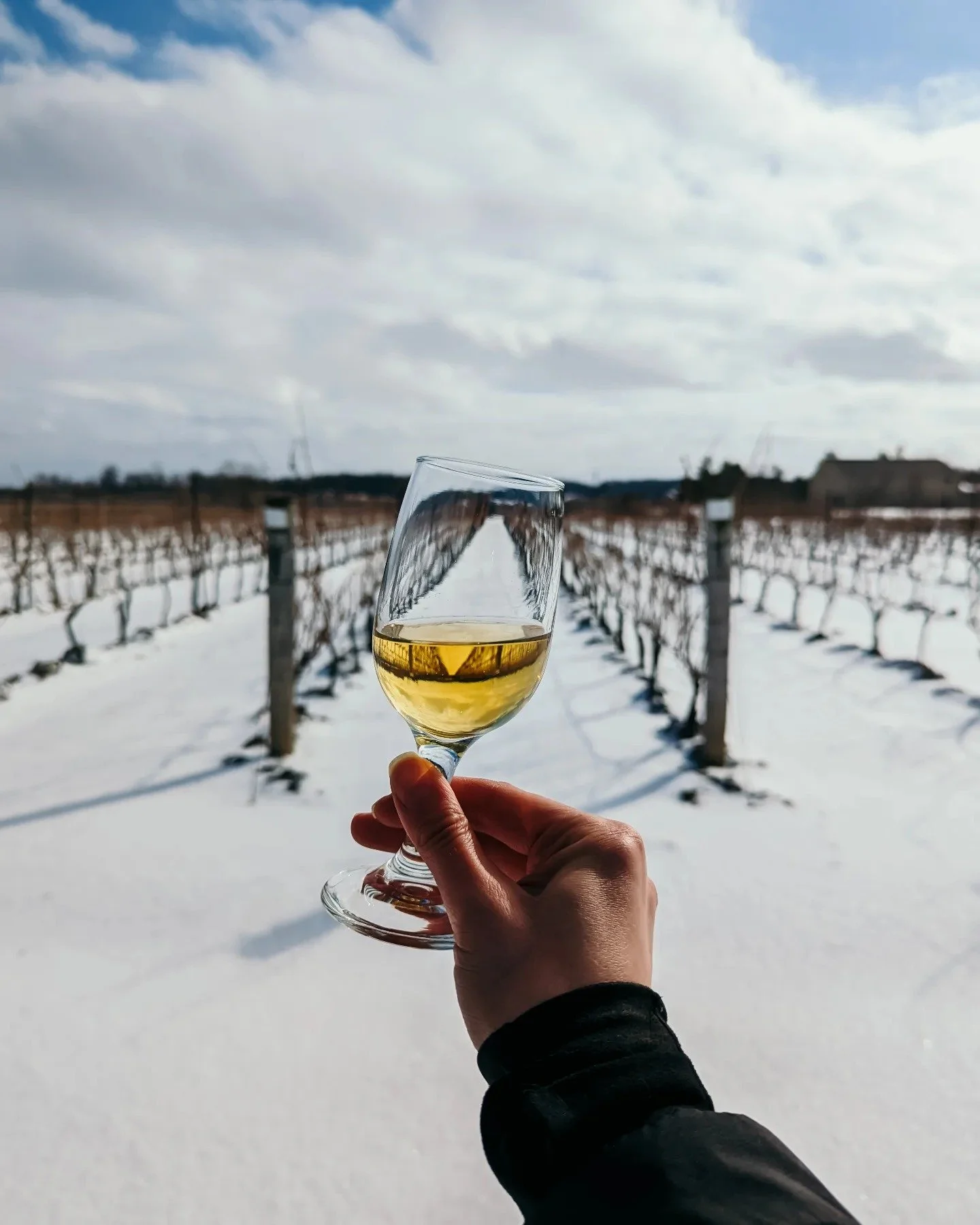 180 Estate Winery