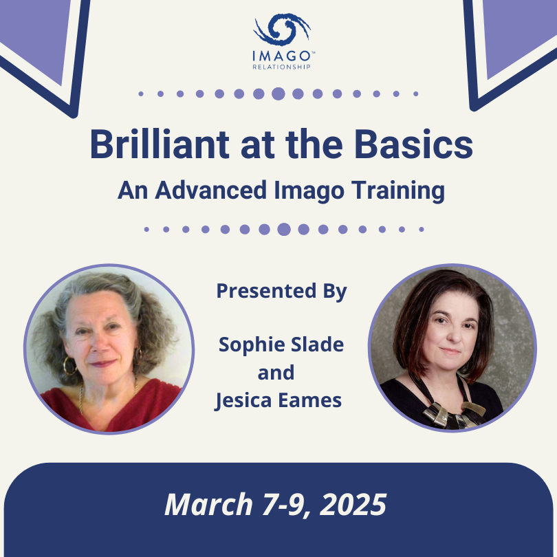 Brilliant at the Basics - Advanced Imago Training — Imago Georgia