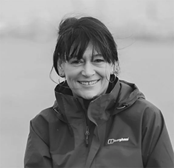 The Team — S Brick