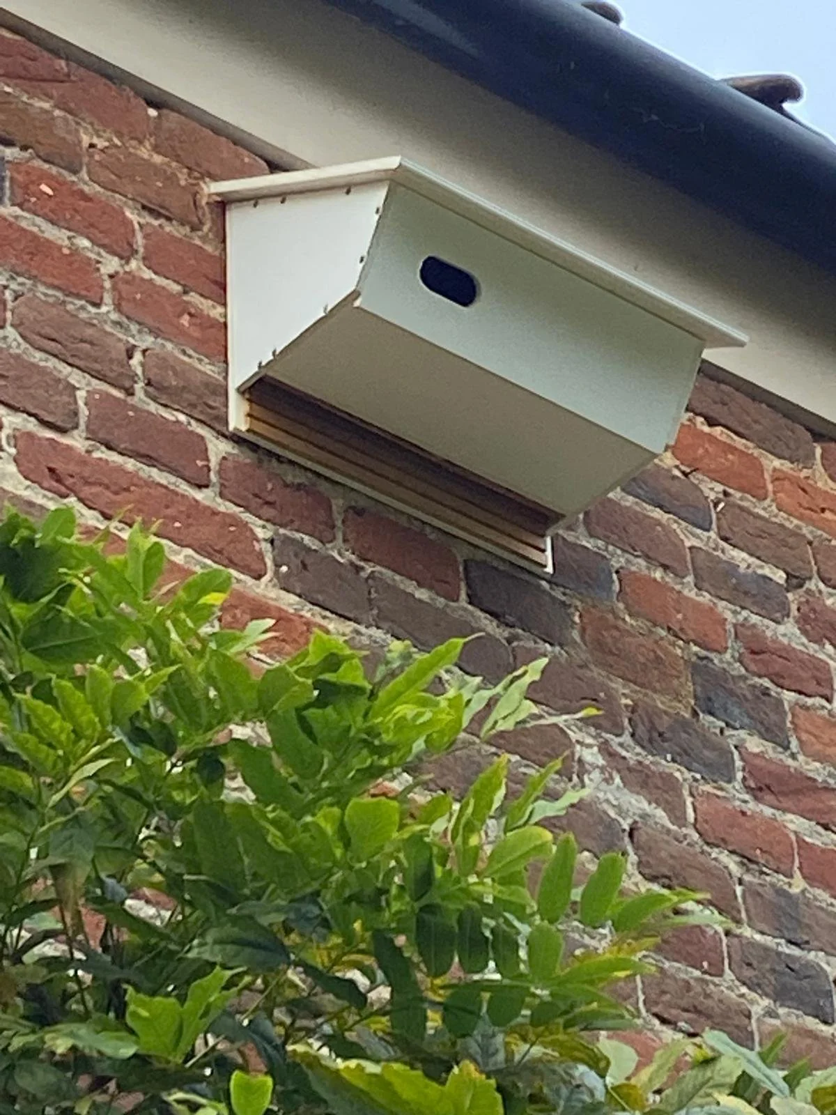 uPVC Swift Boxes — S Brick