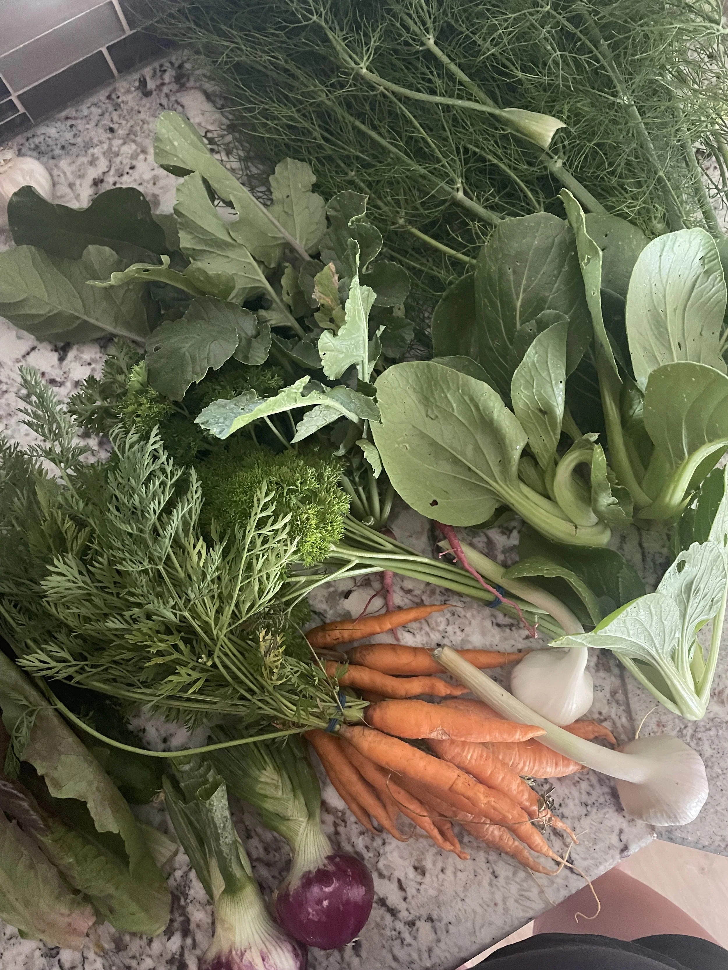 Ag1 Ingredients: An Uncommon Athletic Greens Review — Wellness With Kaelyn