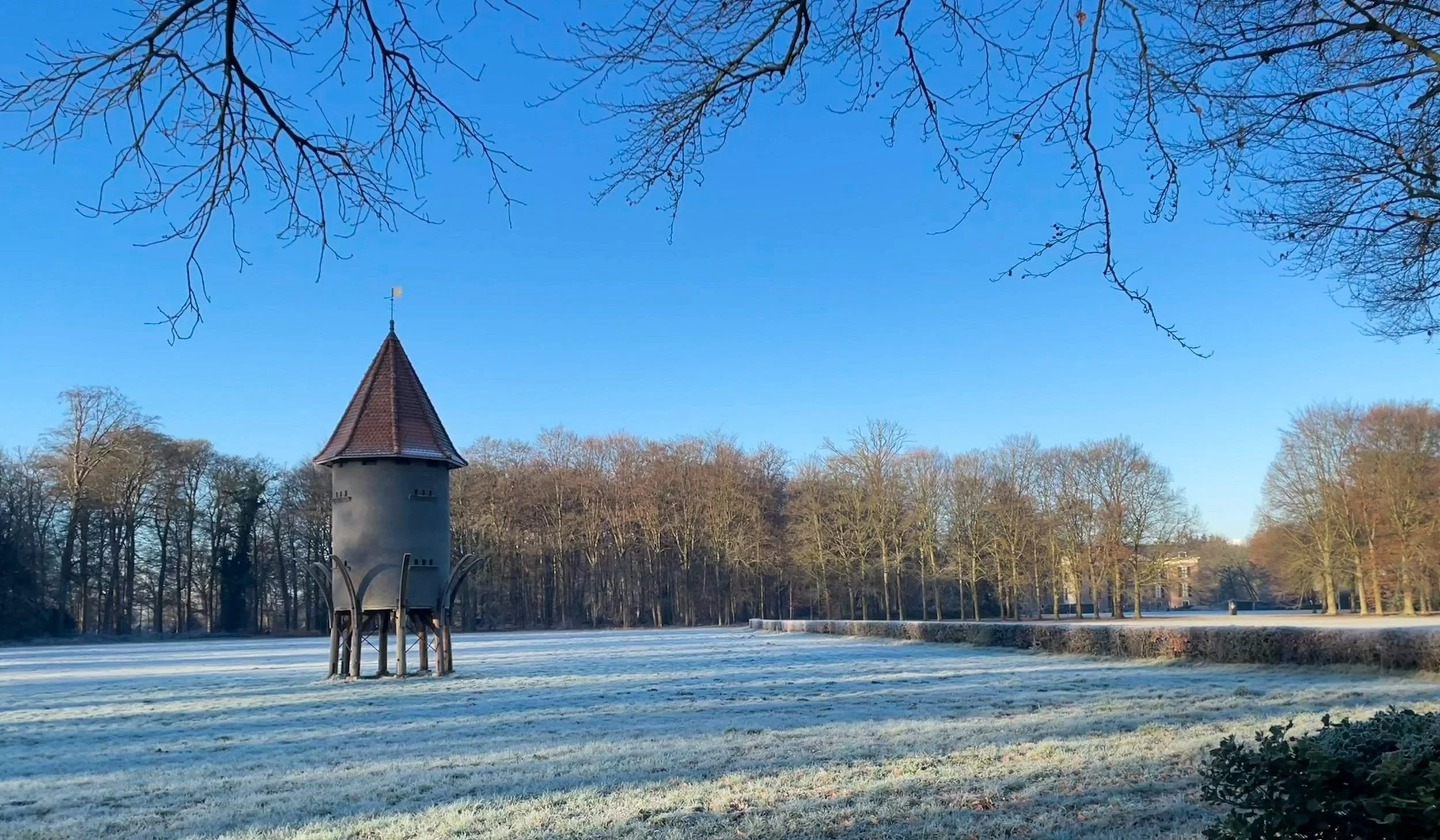 Duiven voor Dummies: bijeenkomst 14 feb De Duif in Nederland, van ...