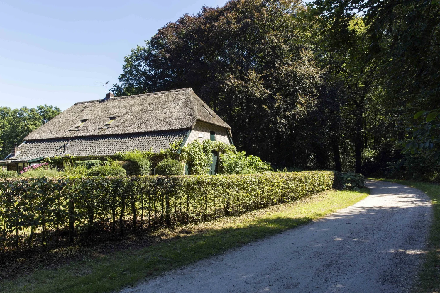 101.000 euro voor versterken cultuurlandschap en biodiversiteit in vijf ...