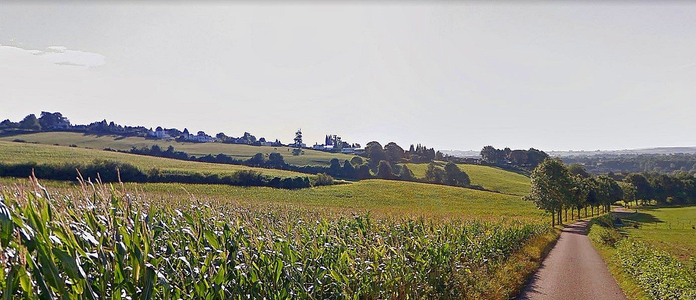 Landschapselementen — Dinamo Fonds