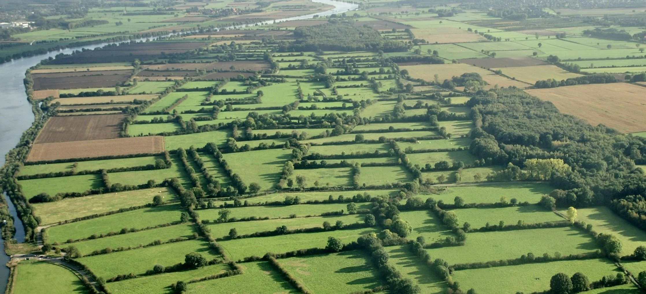 Landschapselementen — Dinamo Fonds