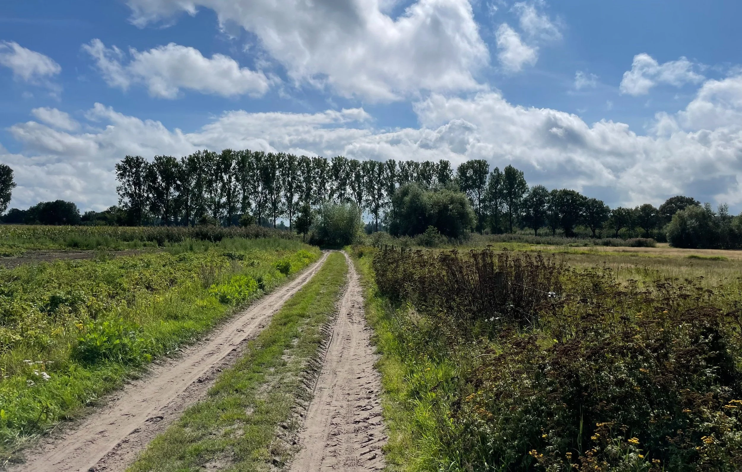 Landschapselementen — Dinamo Fonds