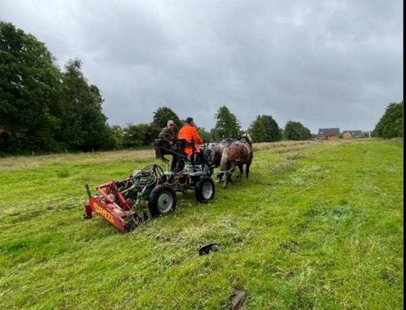 Nog duurzamer maaien, door inzet van trekpaarden & een elektrische ...
